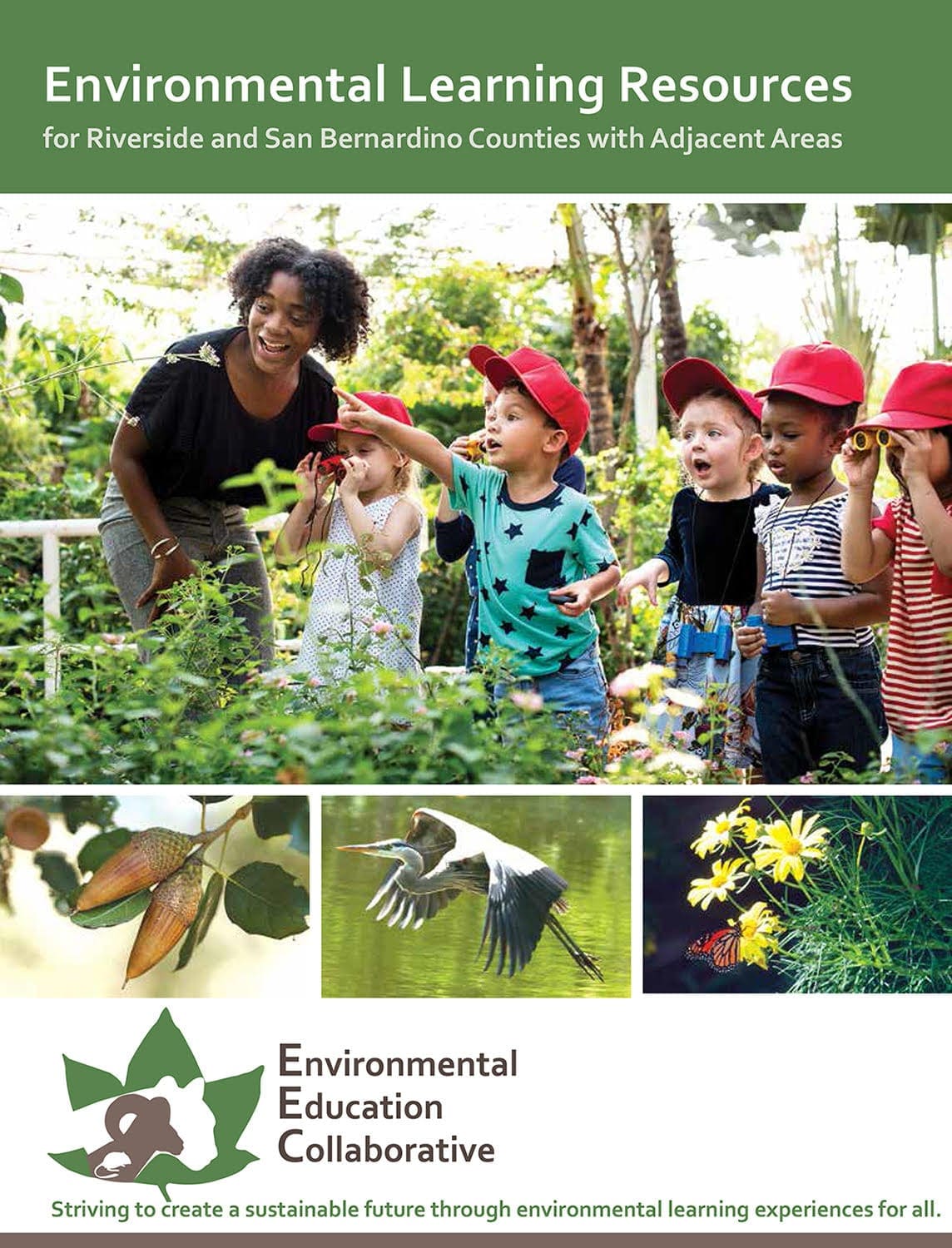 Environmental Education Collaborative